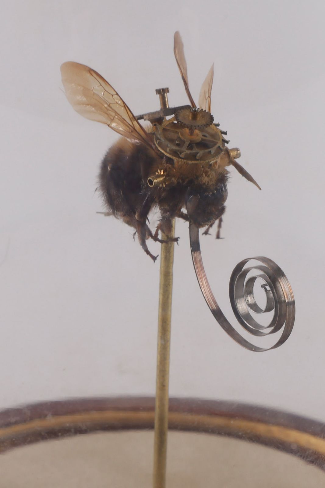 (2) Mike Libby Insect Lab Sculptures under Cloche | Bunch Auctions