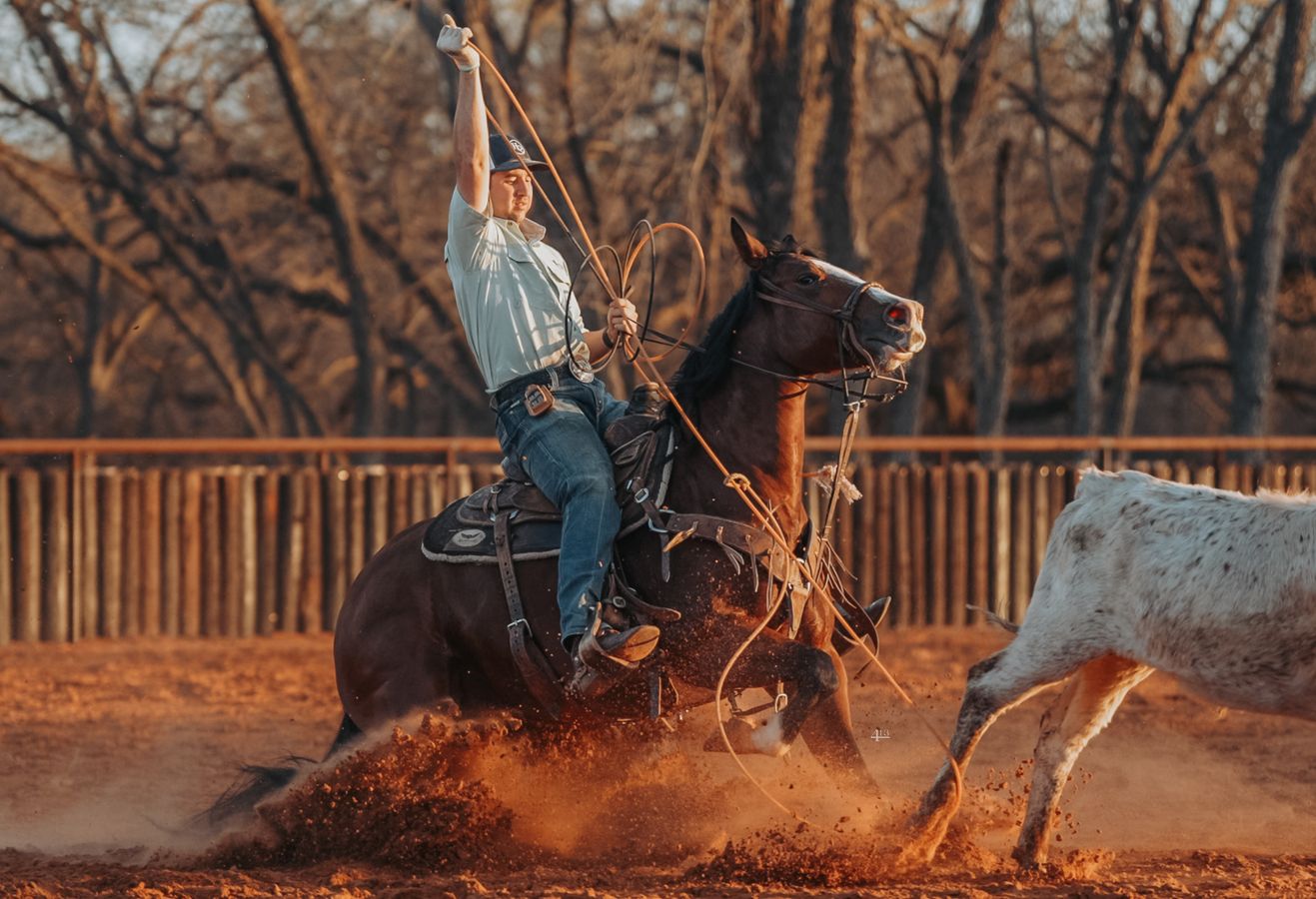 PRADA | Horse Bid, LLC