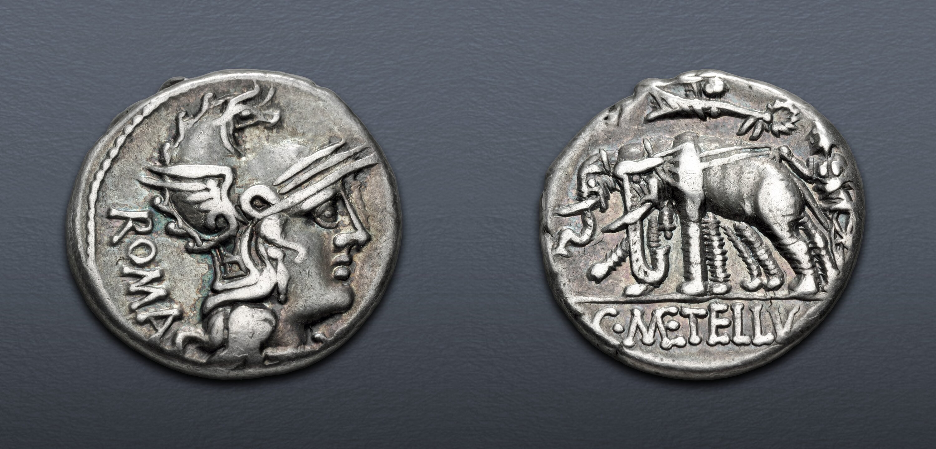 C. Caecilius Metellus Caprarius. 125 BC. AR Denarius (17mm, 3.90 g, 1h ...