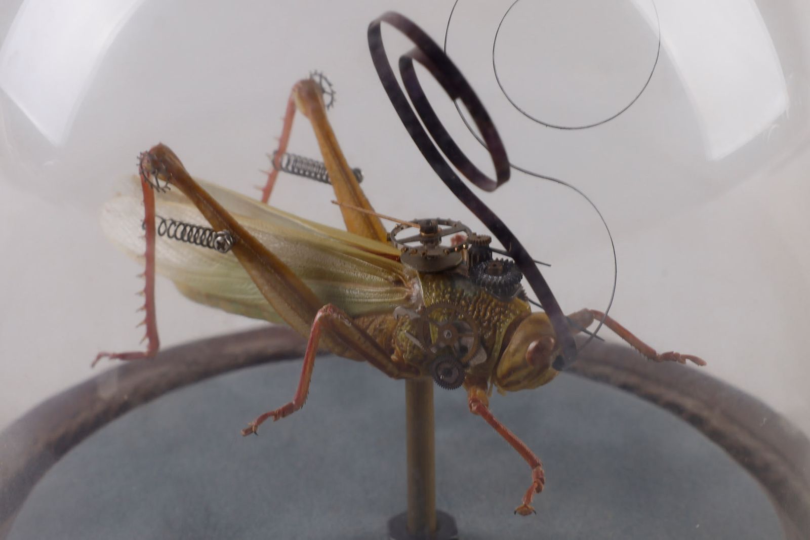 (2) Mike Libby Insect Lab Sculptures under Cloche | Bunch Auctions