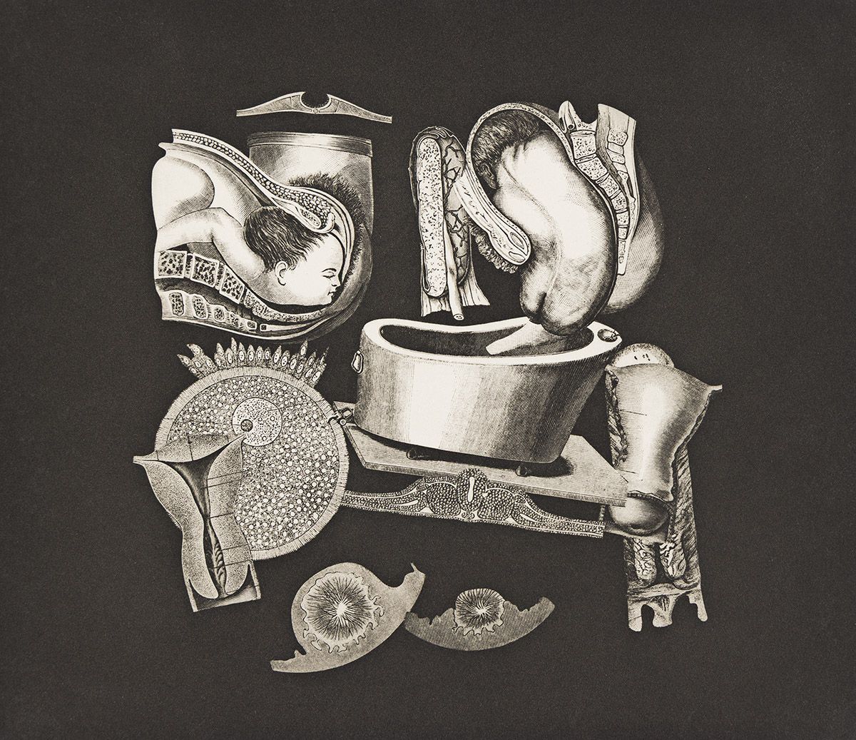 FREDERICK SOMMER (1905-1999) Portfolio entitled The Birth of Venus ...