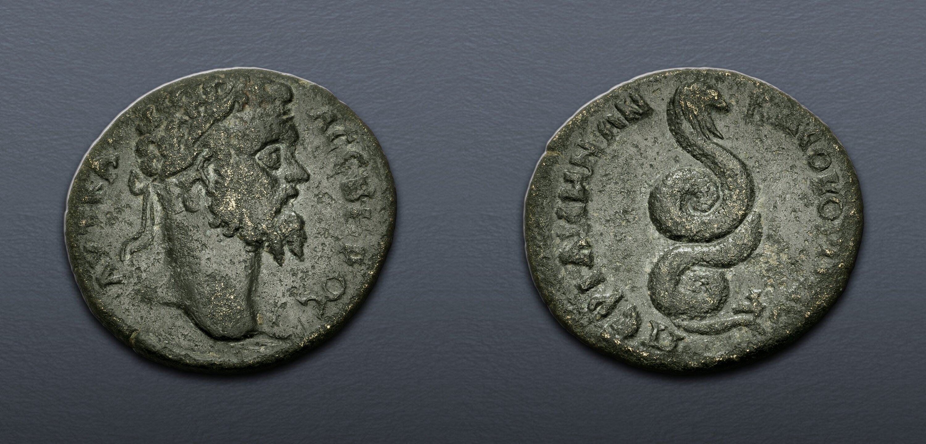 MYSIA, Pergamum. Septimius Severus. AD 193-211. Æ (24.5mm, 7.15 g, 6h ...