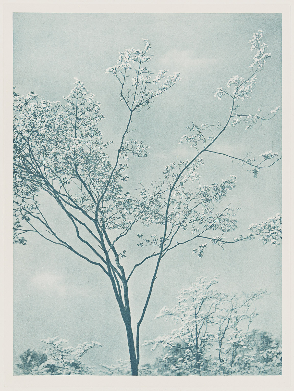 ADOLF FASSBENDER. Pictorial Artistry: The Dramatization of the ...