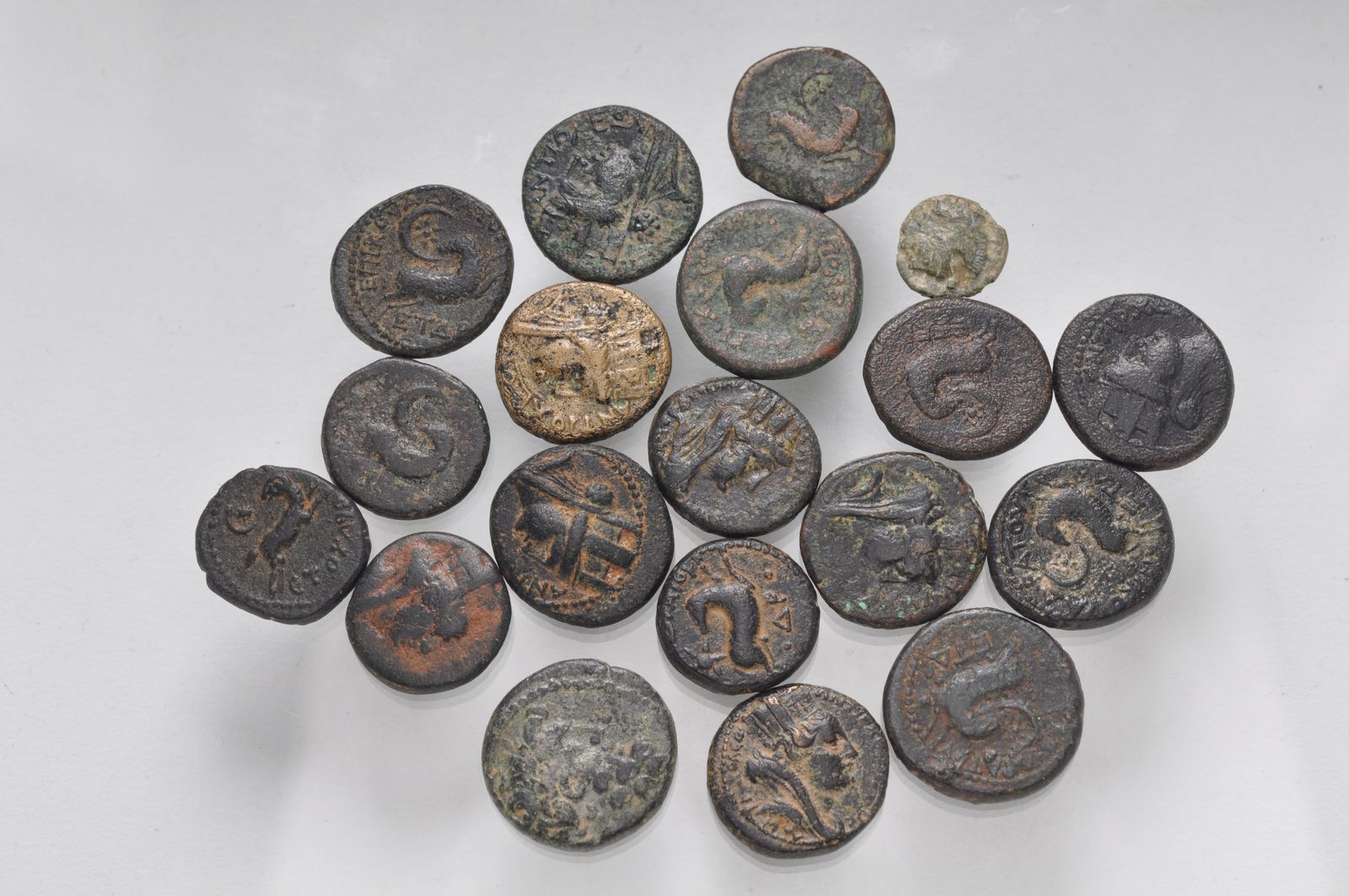 ROMAN. Provincial. Lot of nineteen (19) Antiochene provincial coins ...