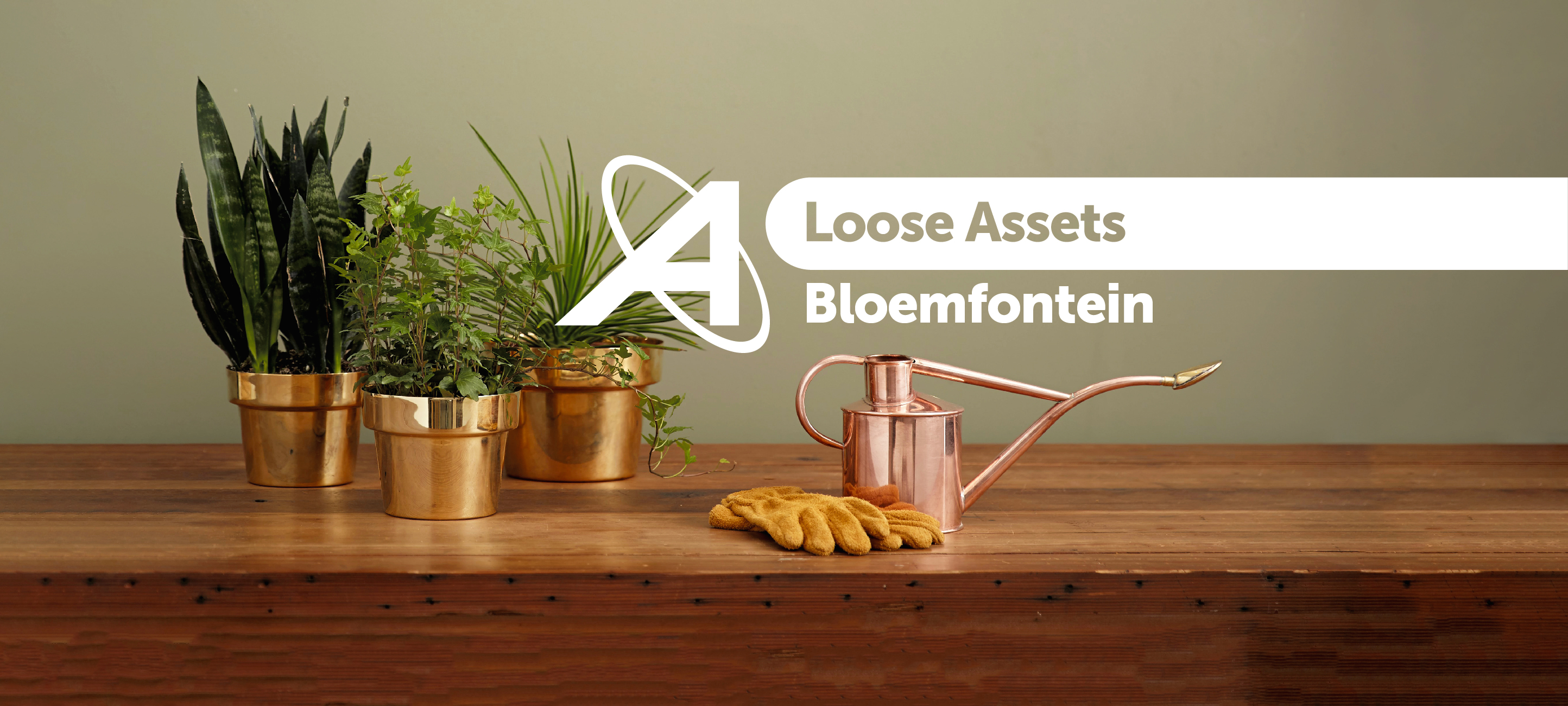 Upcoming Auctions | Aucor