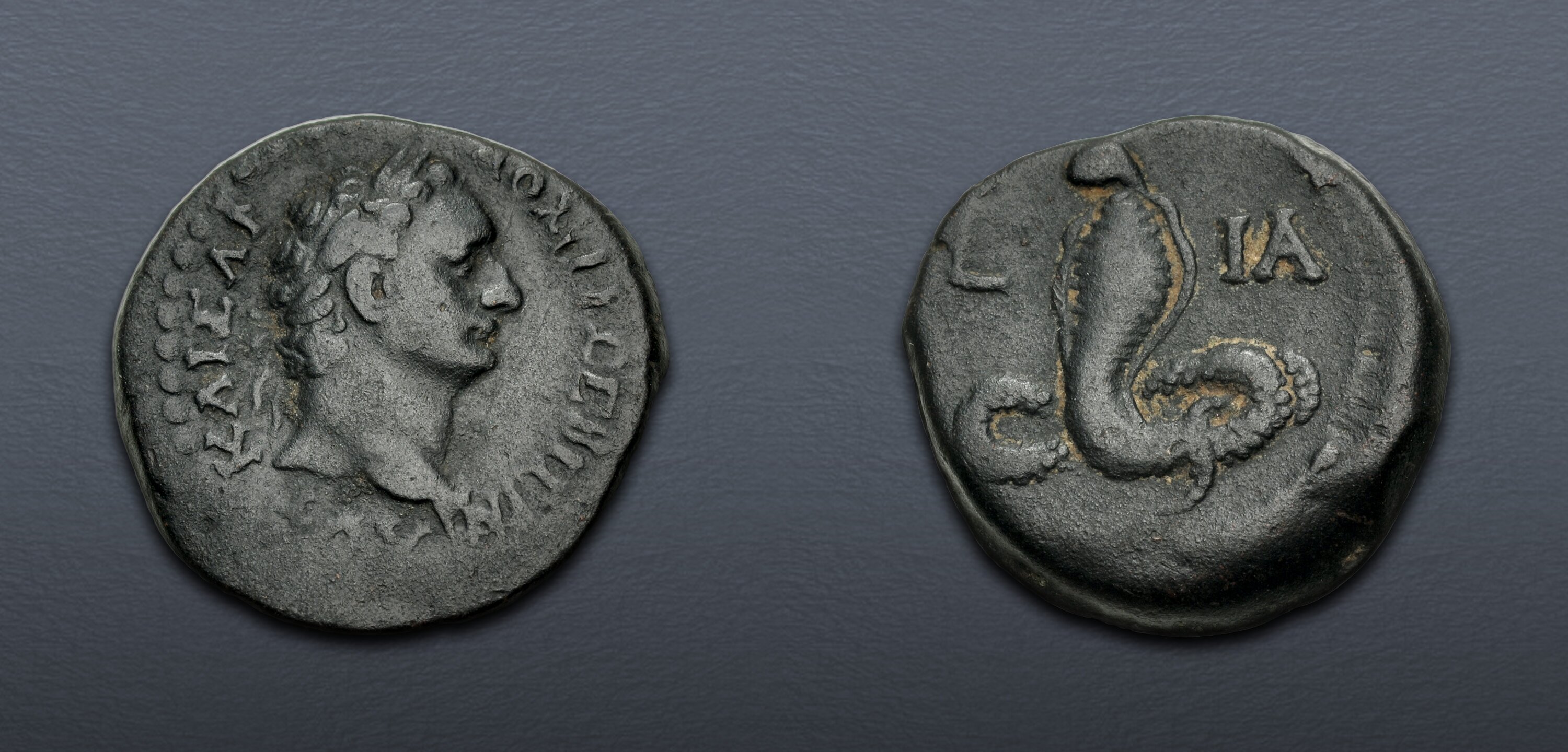 EGYPT, Alexandria. Domitian. AD 81-96. Æ Diobol (19mm, 4.99 g, 12h ...