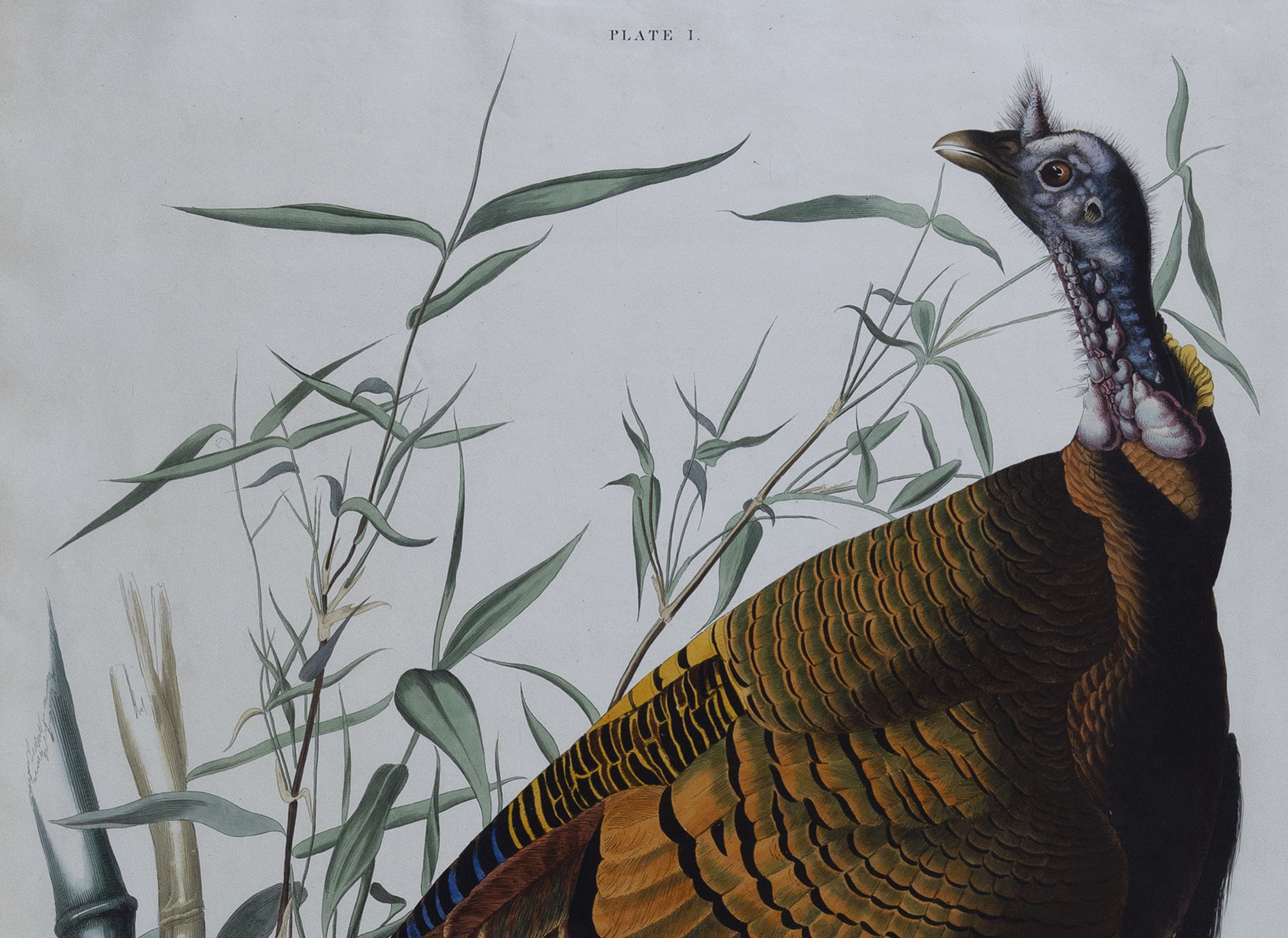 Arader Galleries April 2023 Auction | Arader Galleries