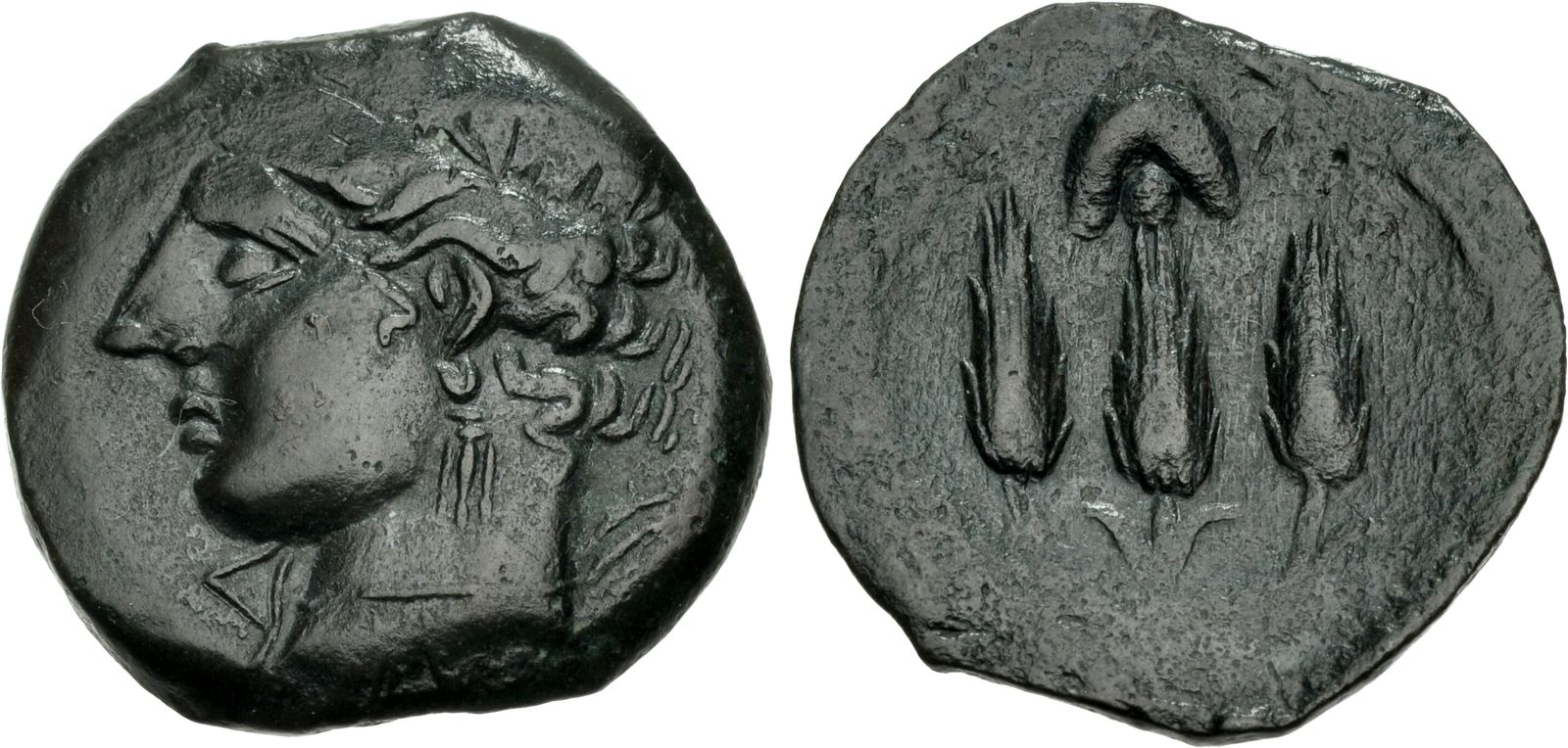 CARTHAGE, Libyan Revolt. Circa 241-238 BC. Æ Shekel (18.5mm, 3.02 g, 6h). Mint on Sardinia. VF ...