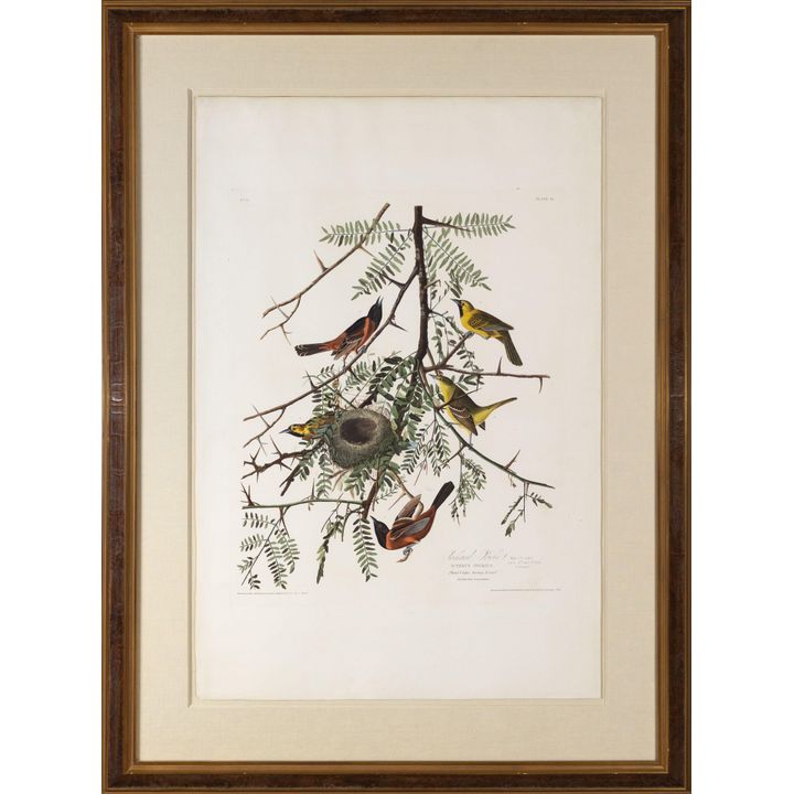 Arader Galleries May 2026 Auction - Extraordinary Works of Art ...