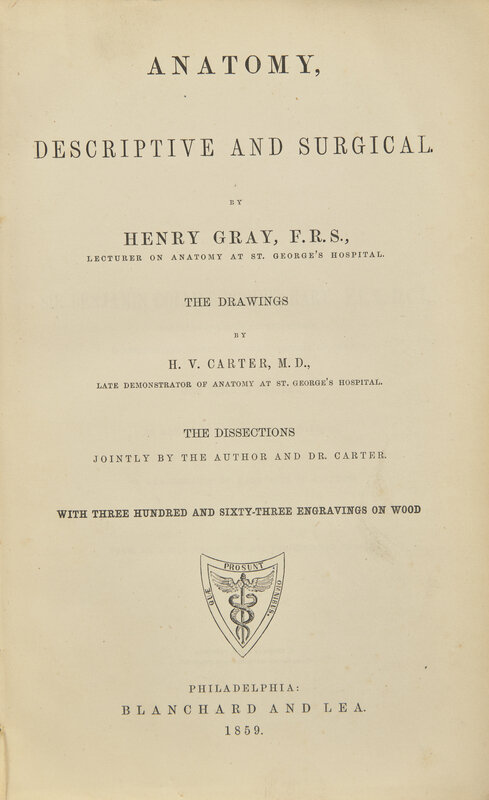 [Science, Medicine & Mathematics] Gray, Henry. Anatomy, Descriptive and ...