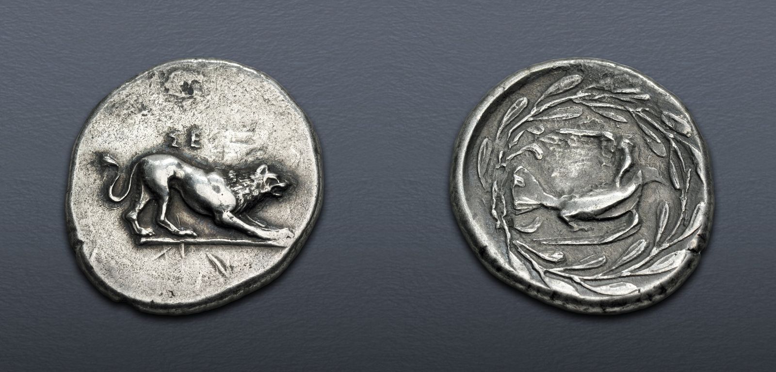 SIKYONIA, Sikyon. Circa 431-400 BC. AR Stater (24mm, 11.86 g, 12h). VF ...