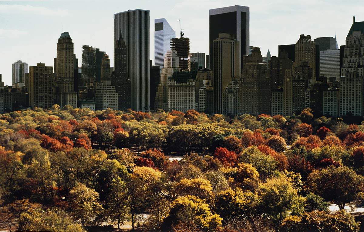 RUTH ORKIN (1921-1985) Autumn in Manhattan.1980; printed before 1983 ...