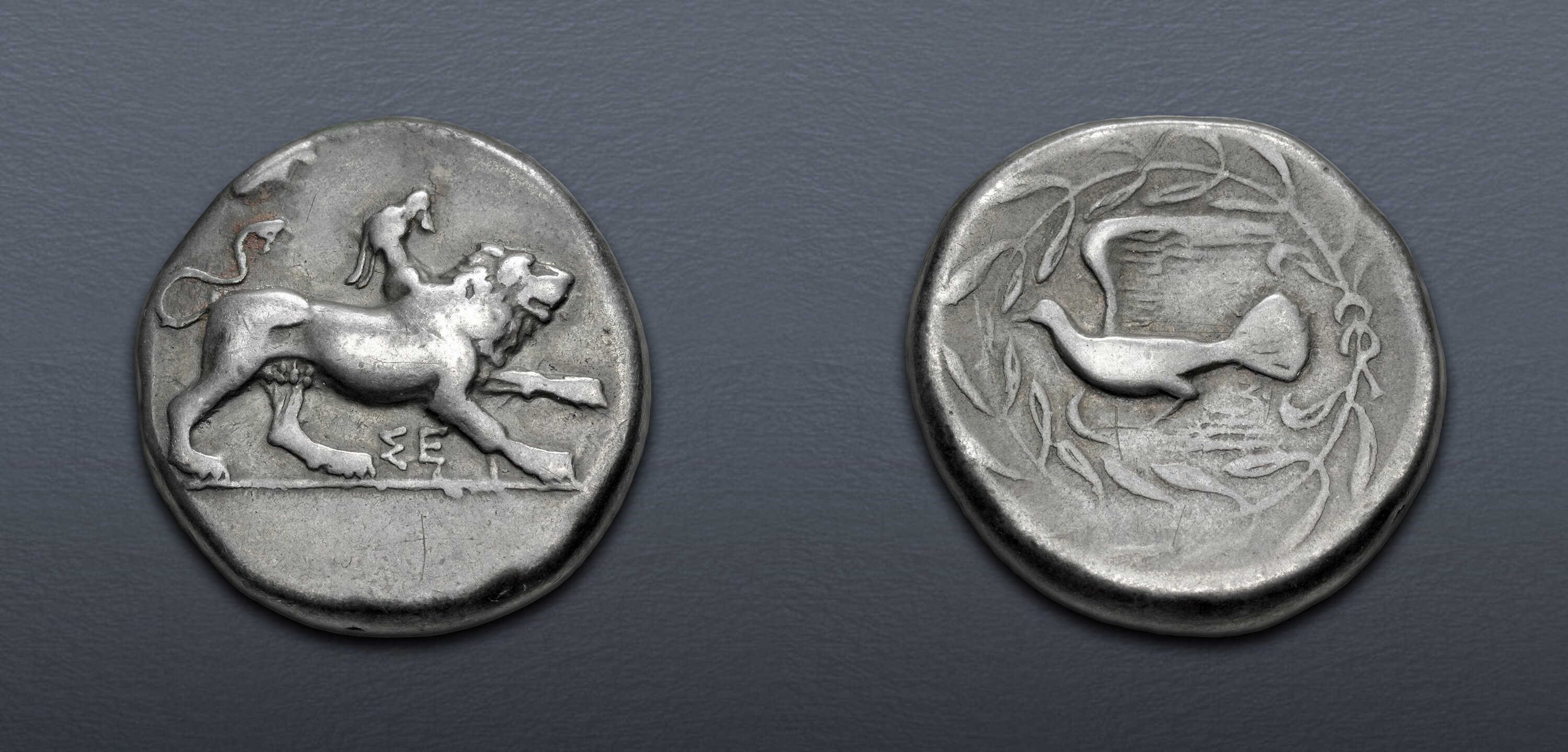 SIKYONIA, Sikyon. Circa 431-400 BC. AR Stater (23mm, 11.94 g, 2h). Near ...