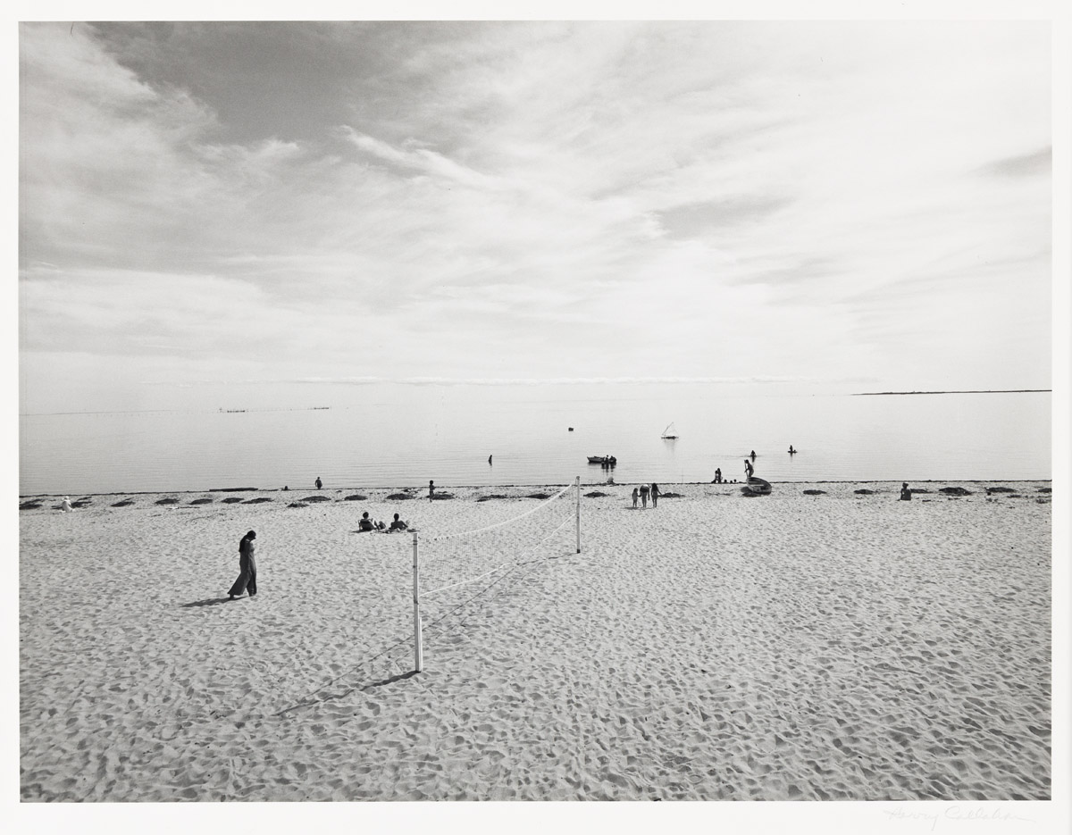 HARRY CALLAHAN (1912-1999) Cape Cod./i) | Swann Galleries App