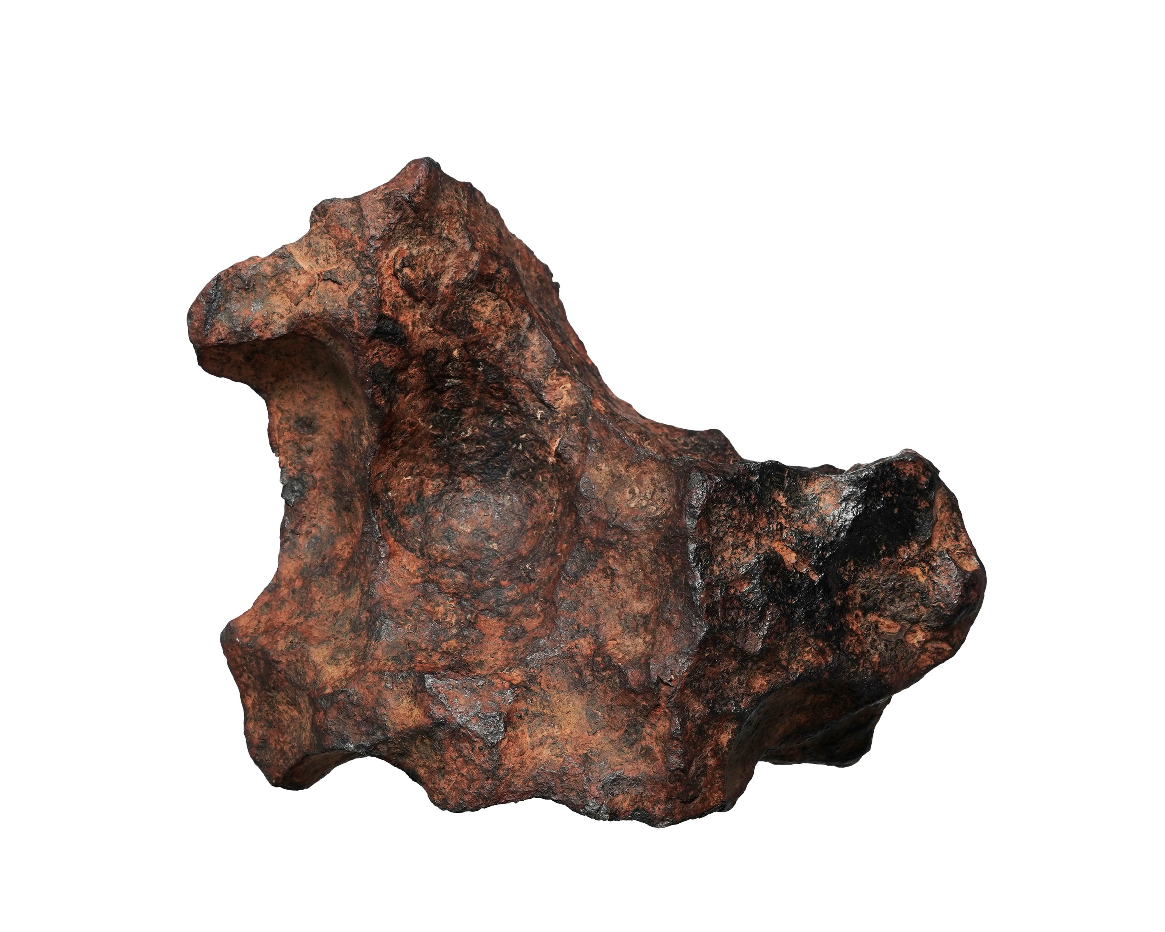 Exceptionnelle météorite ferreuse de Gibeon, Namibie, 4898 g., diamètre ...