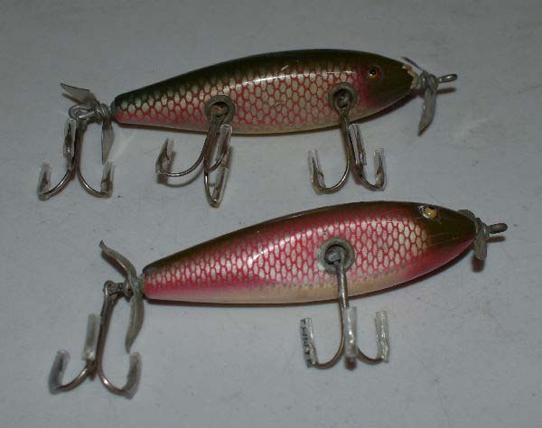 2 Creek Chub Injured Minnows | The Angling Marketplace