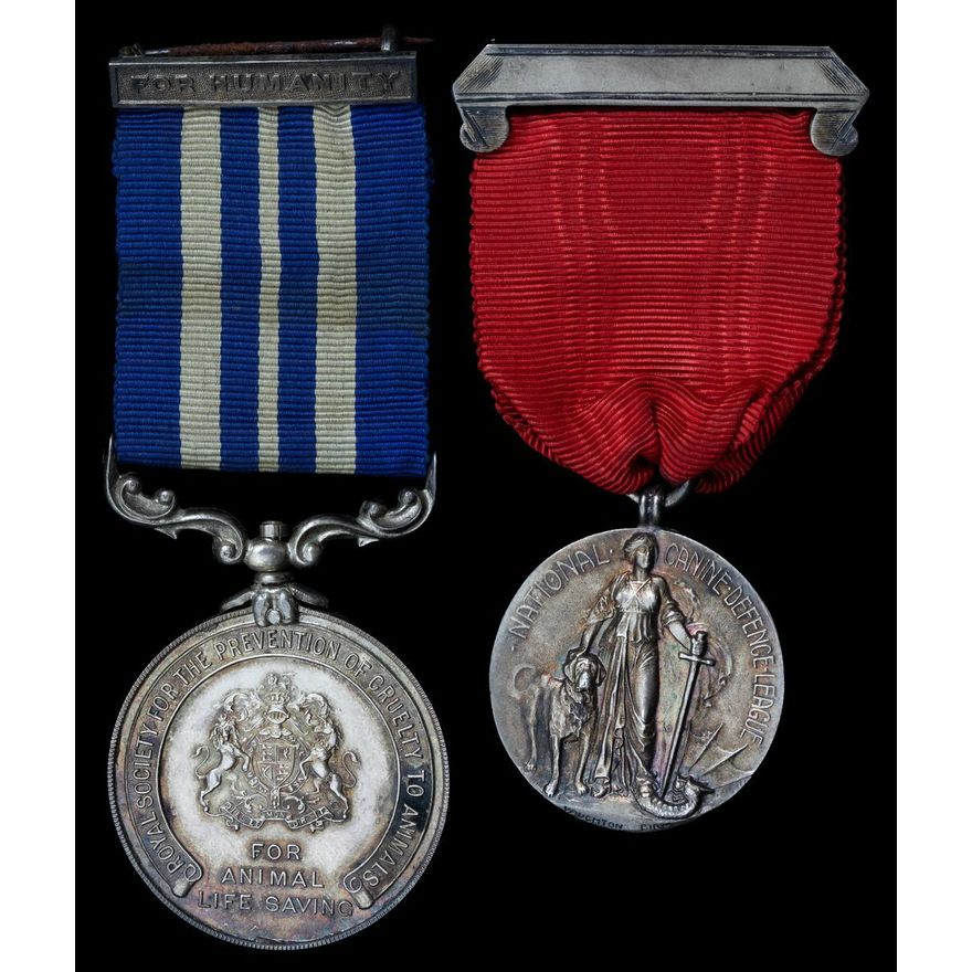 The pair awarded to Mr Edward Crump for his services in saving the life ...