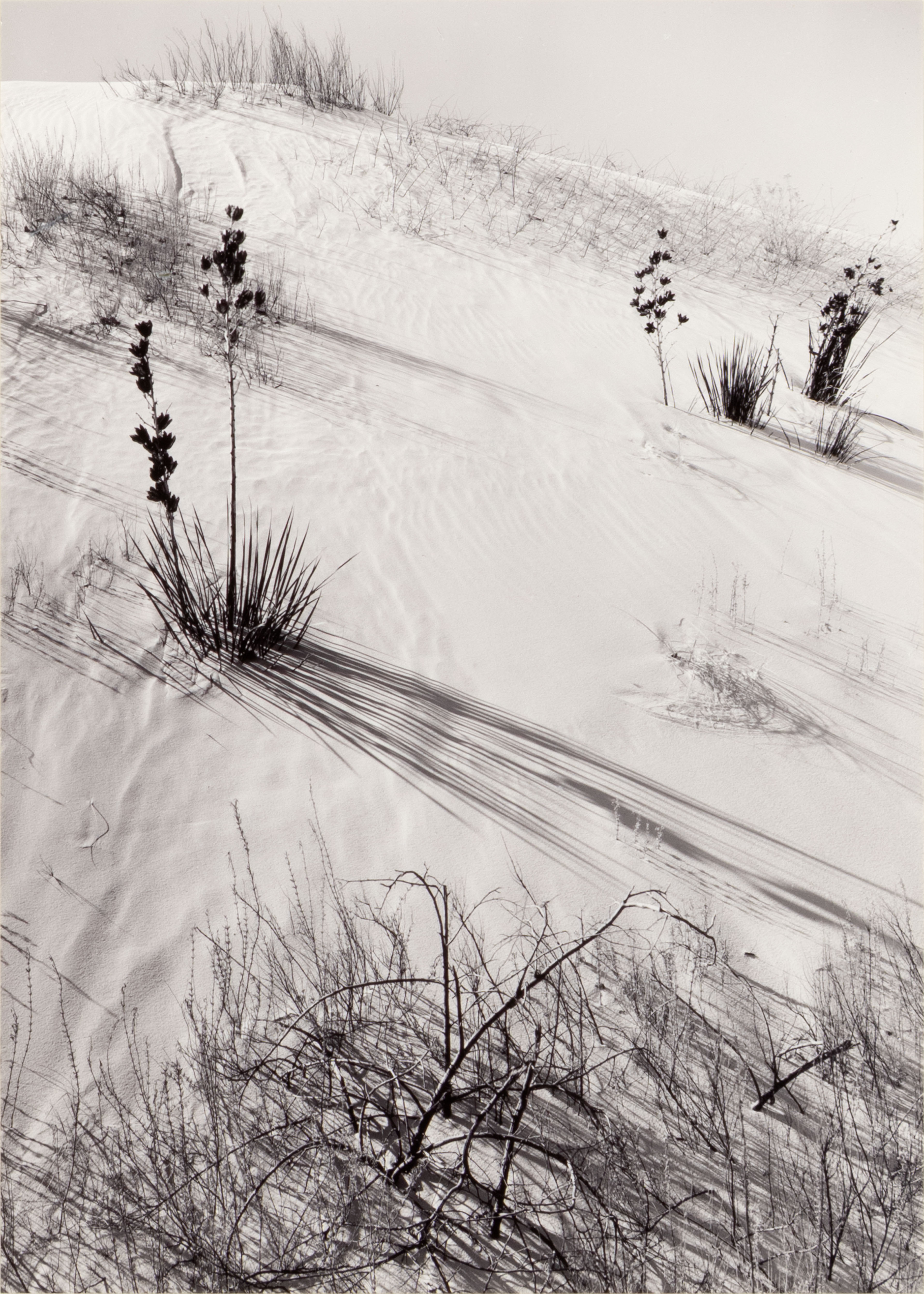 Ansel Adams (1902-1984), Dunes, Hazy Sun, White Sands, New Mexico, 1941 ...