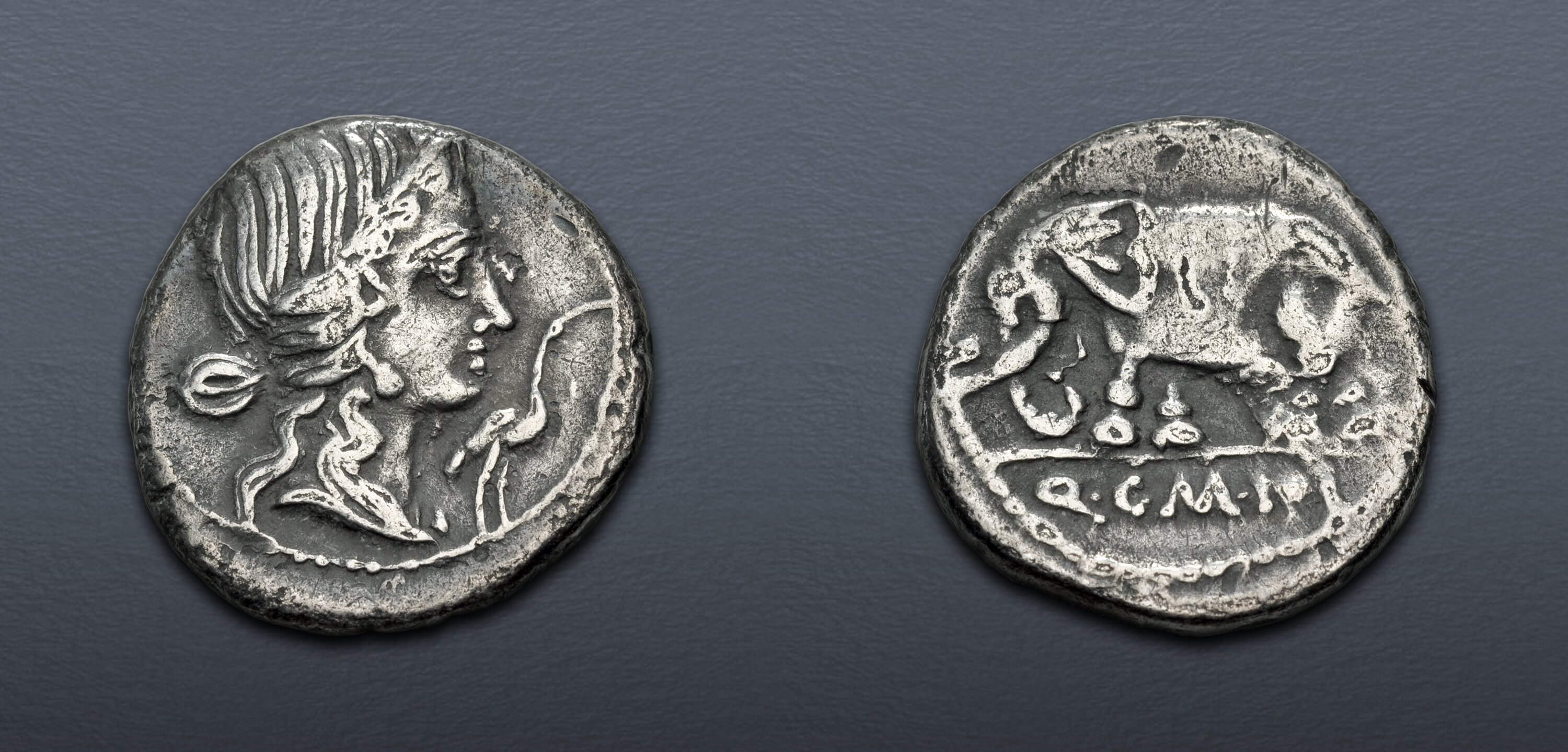 Q. Caecilius Metellus Pius. 81 BC. AR Denarius (16.5mm, 3.77 g, 5h ...