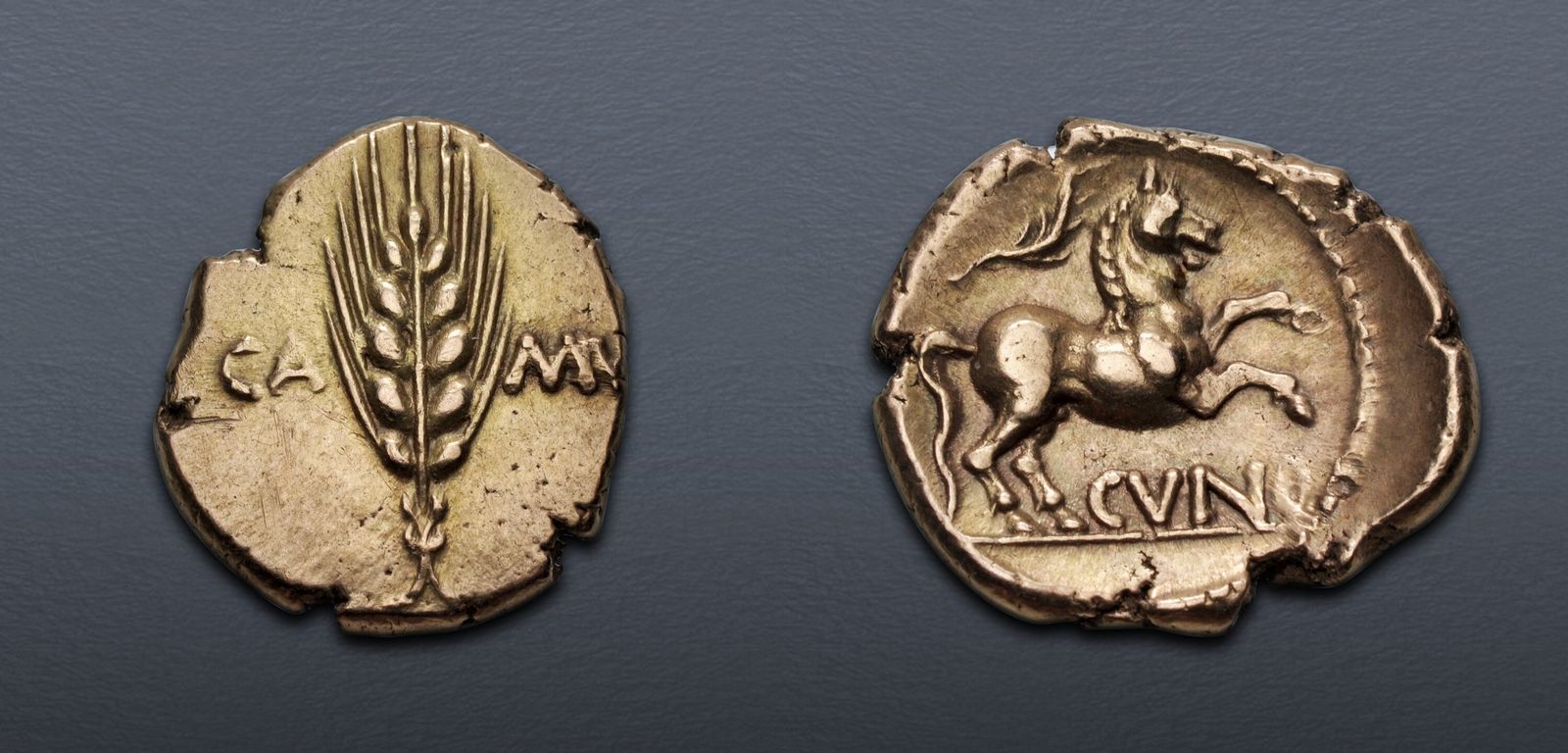 CELTIC, Trinovantes & Catuvellauni. Cunobelin. Circa AD 10-43. AV ...