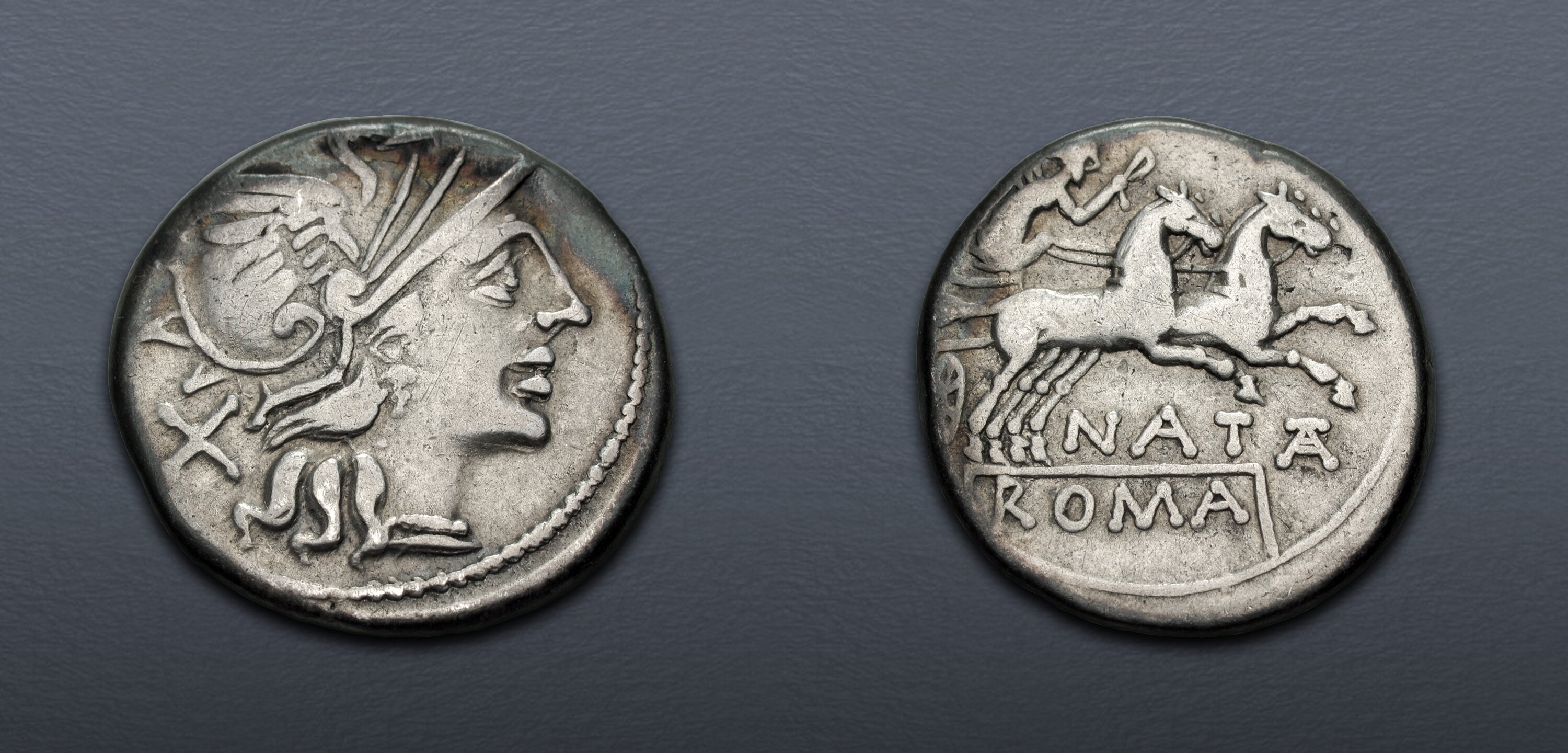 Pinarius Natta. 149 BC. AR Denarius (17.5mm, 3.60 g, 3h). NATTA series ...