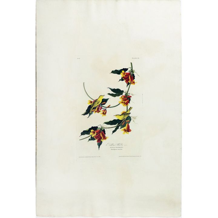 Arader Galleries November 2025 Auction | Arader Galleries