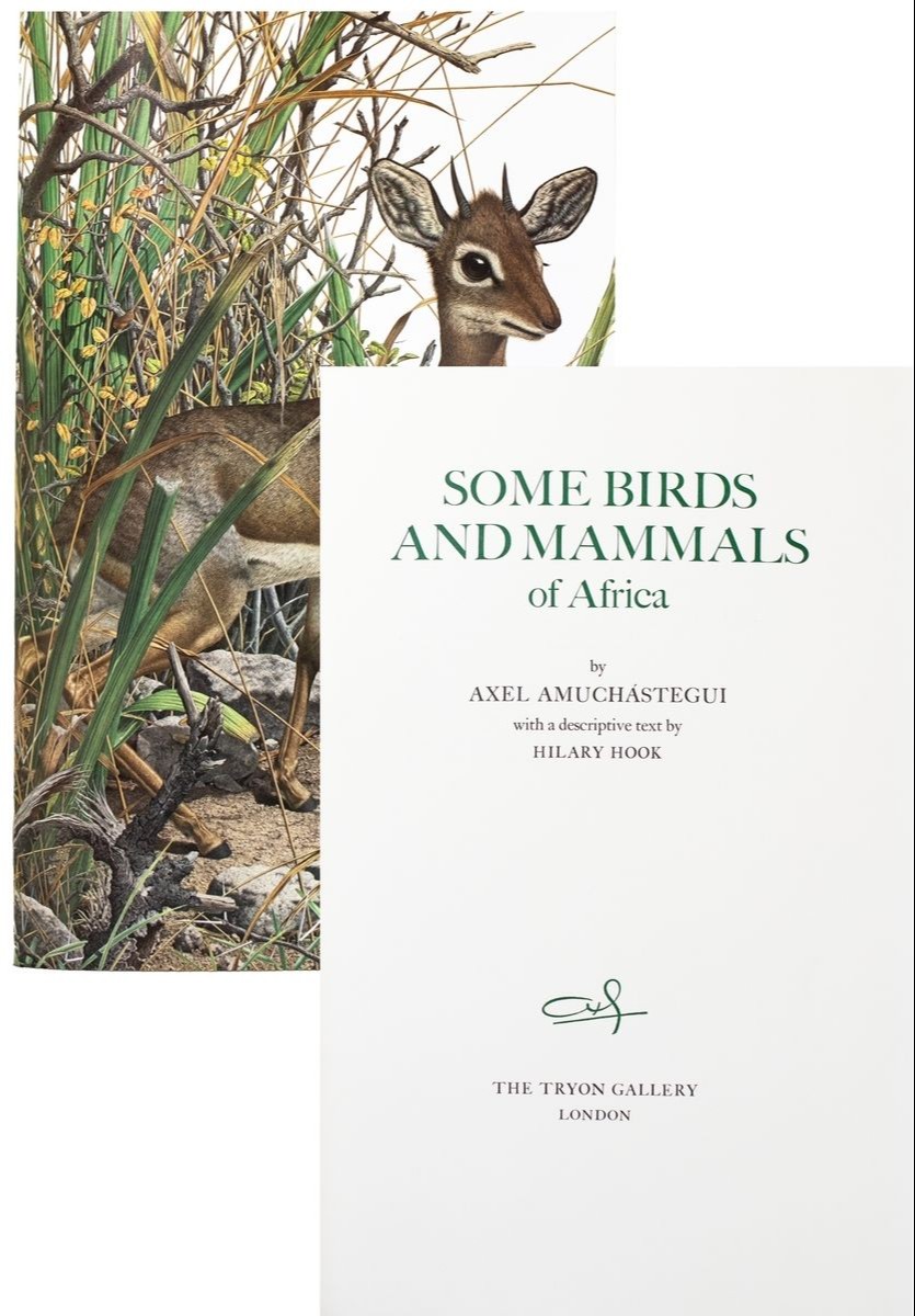 ILLUSTRATED 'SOME BIRDS AND MAMMALS OF AFRICA' BY AXEL AMUCHASTEGUI | Spink