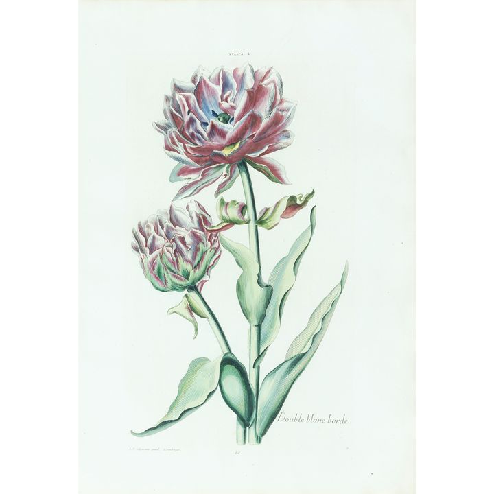 Arader Galleries February 2025 Auction | Arader Galleries