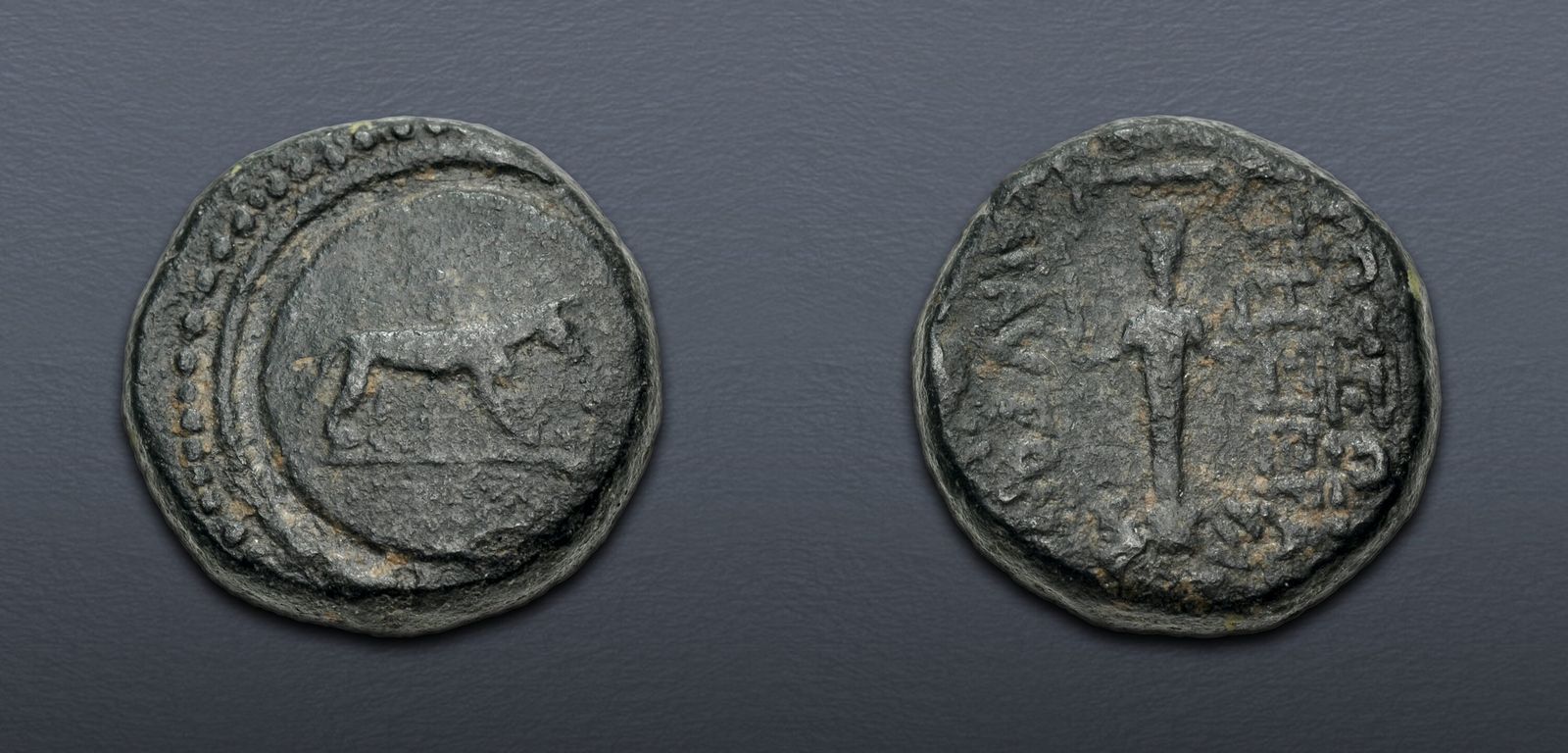 CILICIA, Rhosus. Roman Republican period. After 42 BC. Æ (14mm, 4.83 g ...