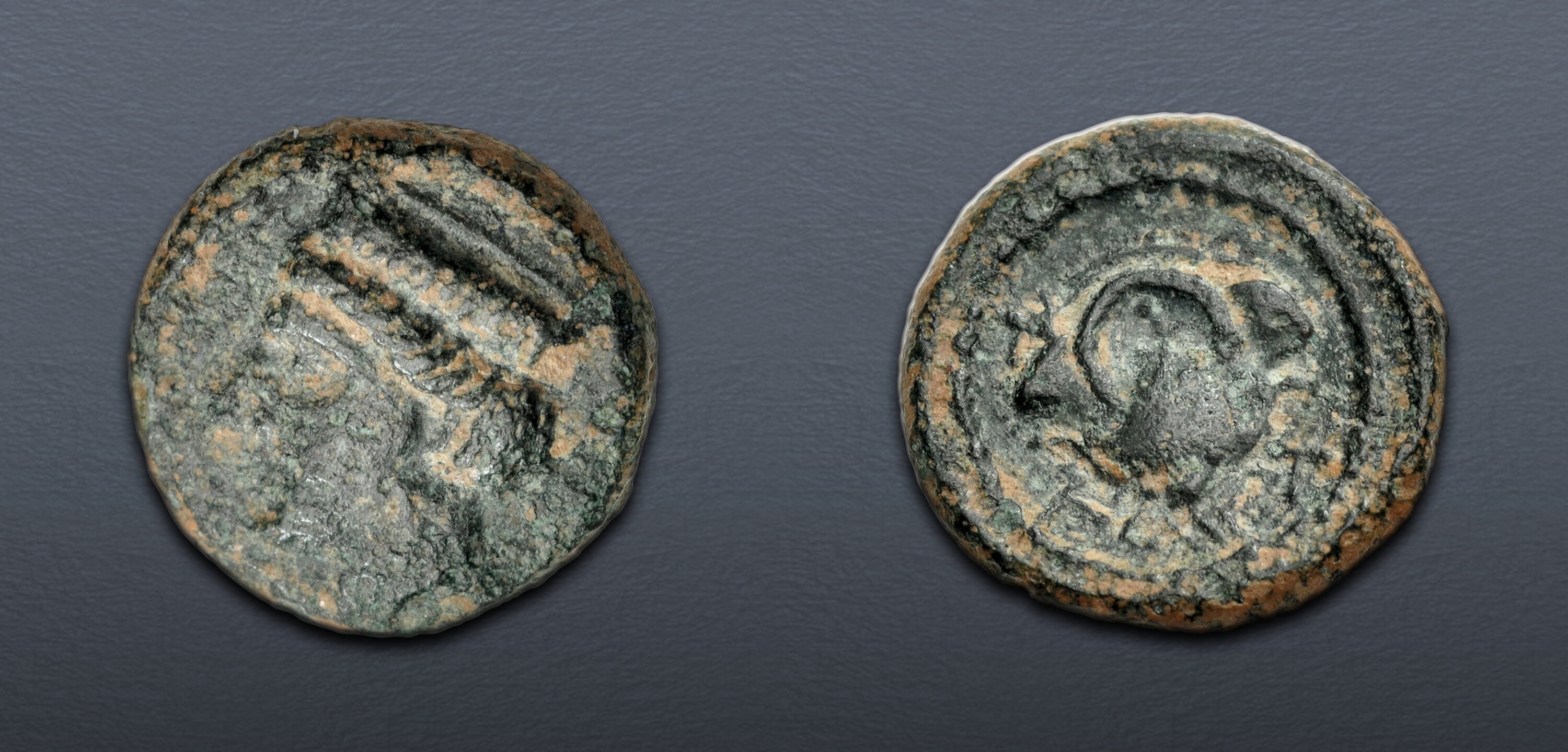 CYPRUS, Paphos. Timarchos or Nikokles. Circa 350-320 BC. Æ (11.5mm, 1. ...