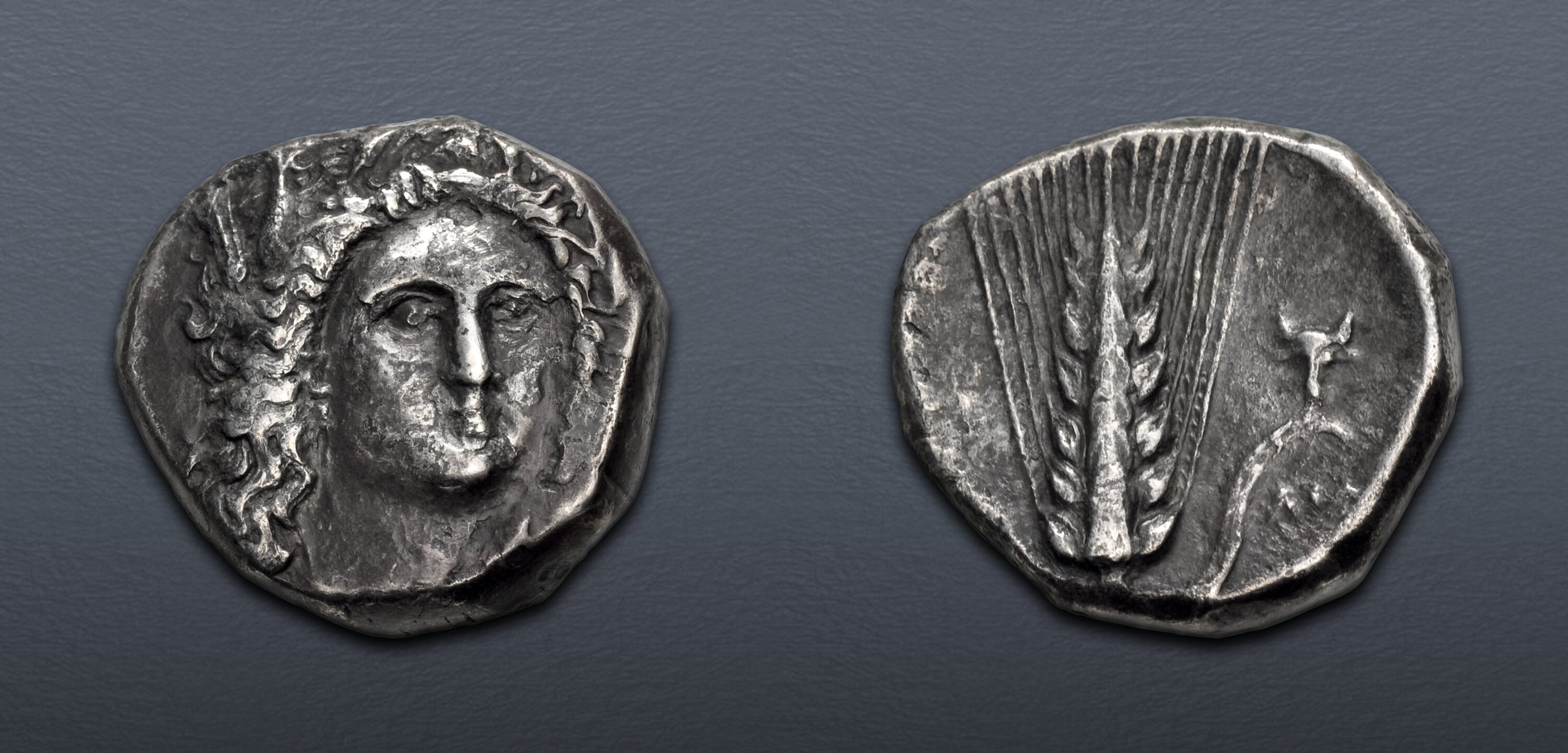 LUCANIA, Metapontion. Circa 330-290 BC. AR Nomos (19mm, 7.59 g, 5h). VF ...