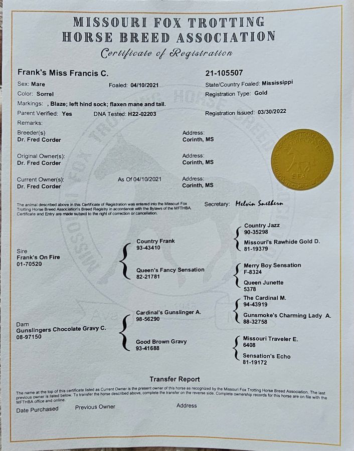 FRANKS MISS FRANCIS C | Gold Buckle Horse Sale LLC