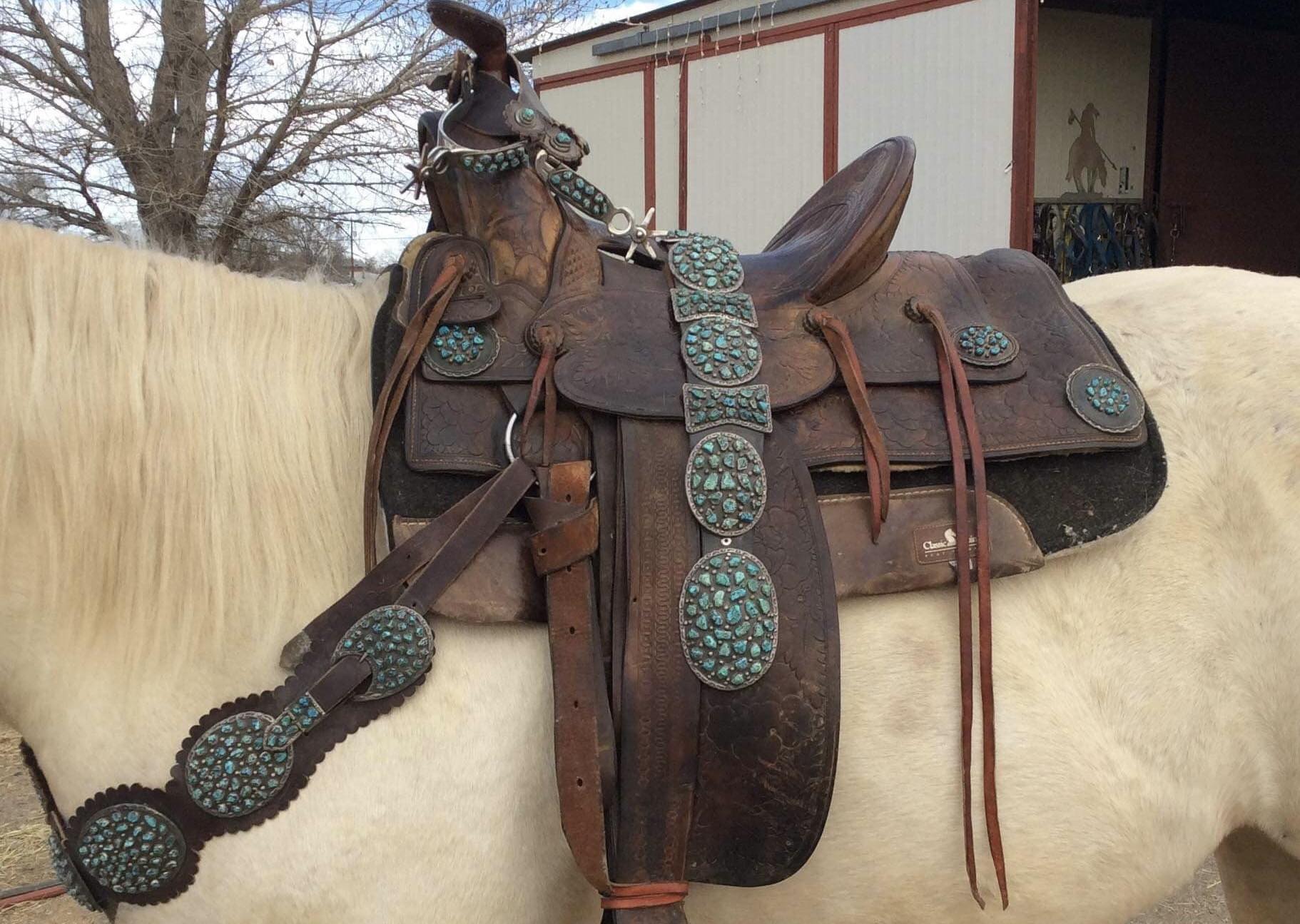 June 17th Live Auction Event | Western Trading Post LLC