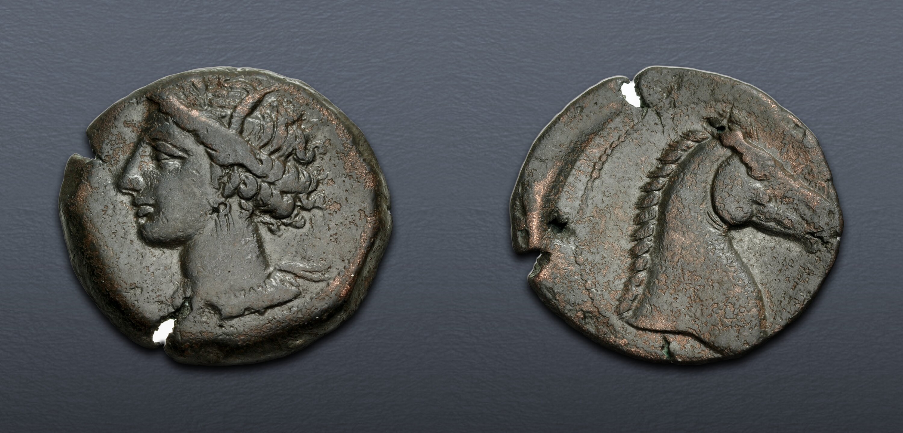 CARTHAGE. Circa 300-264 BC. Æ Shekel(?) (19mm, 4.98 g, 6h). Carthage or ...