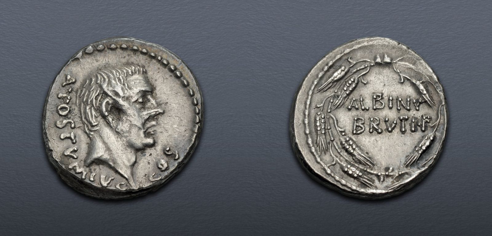 Moneyer issues of Imperatorial Rome. Albinus Bruti f. 48 BC. AR ...