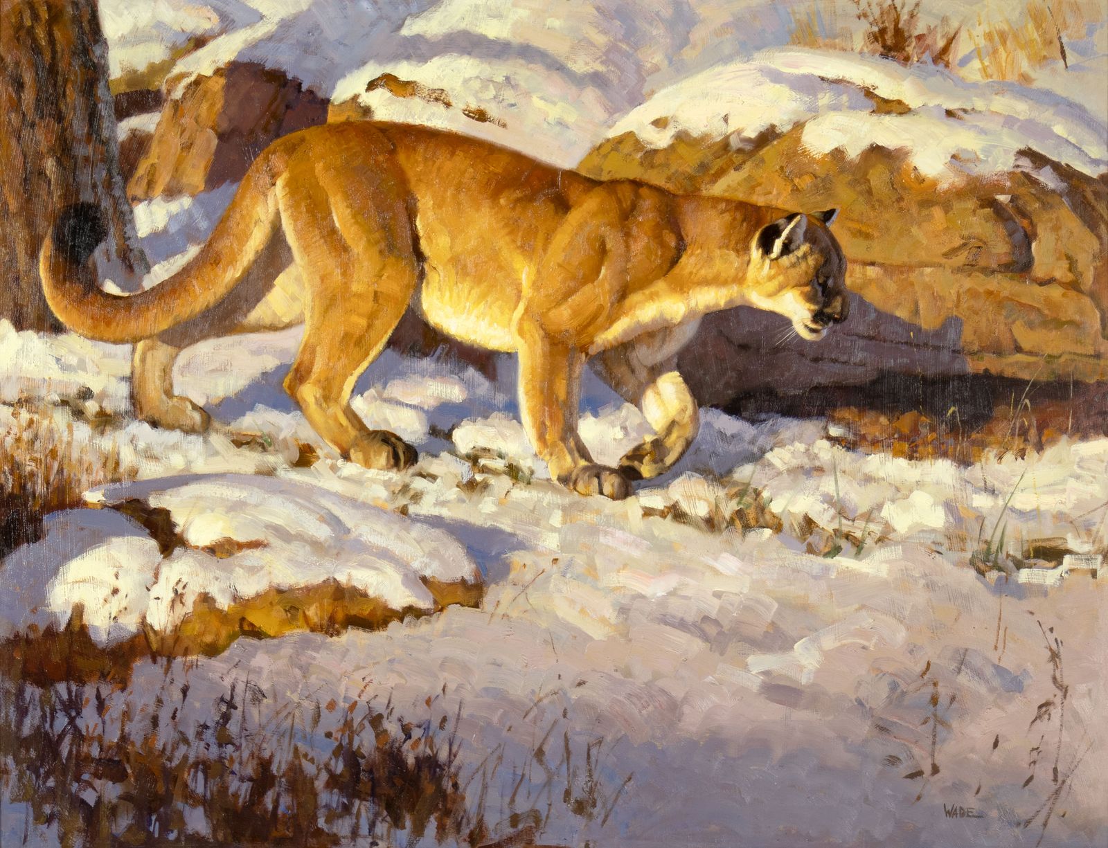 David Charles Wade (1952-2019), Mountain Lion | Jackson Hole Art ...