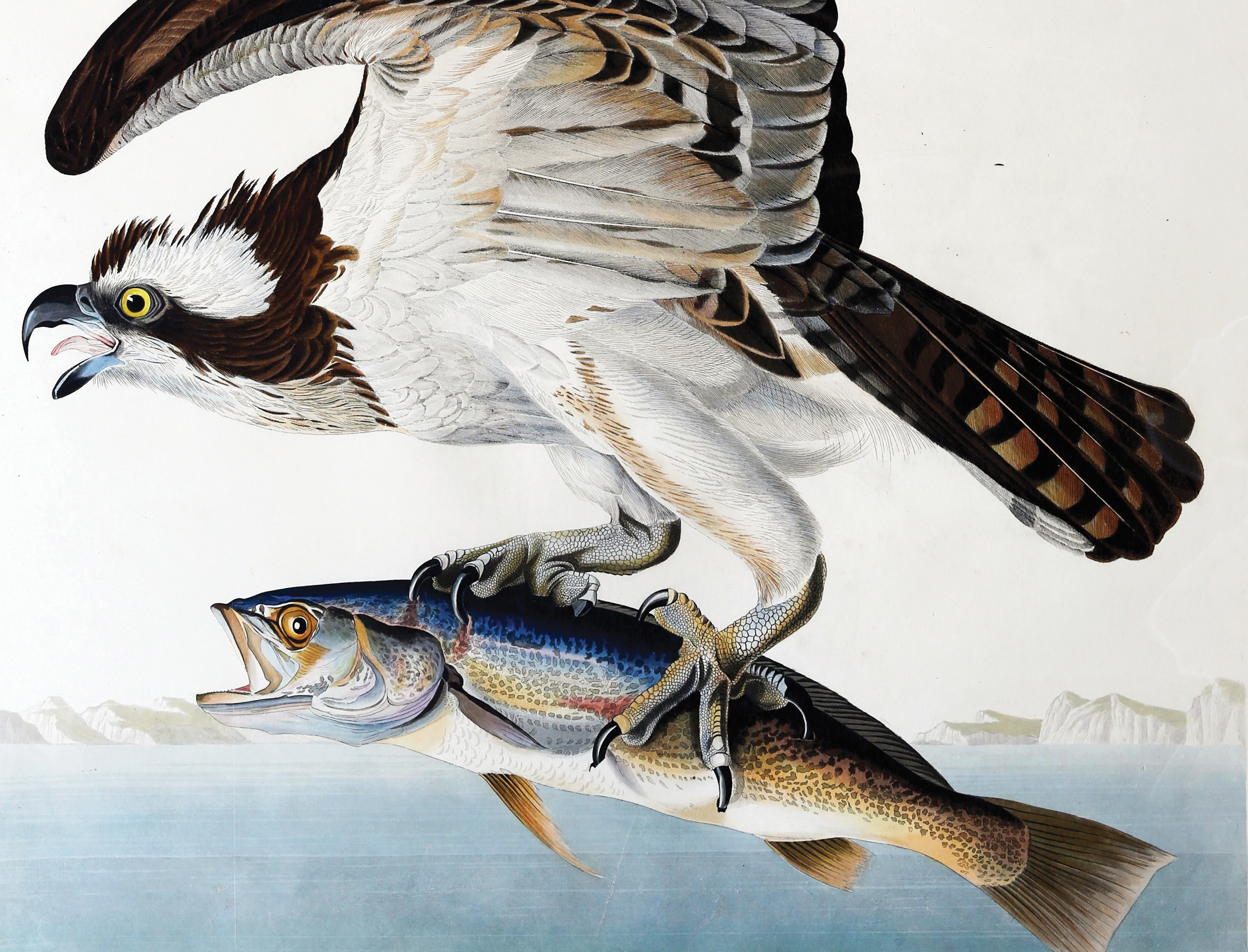 Arader Galleries April 5, 2025 Auction | Arader Galleries