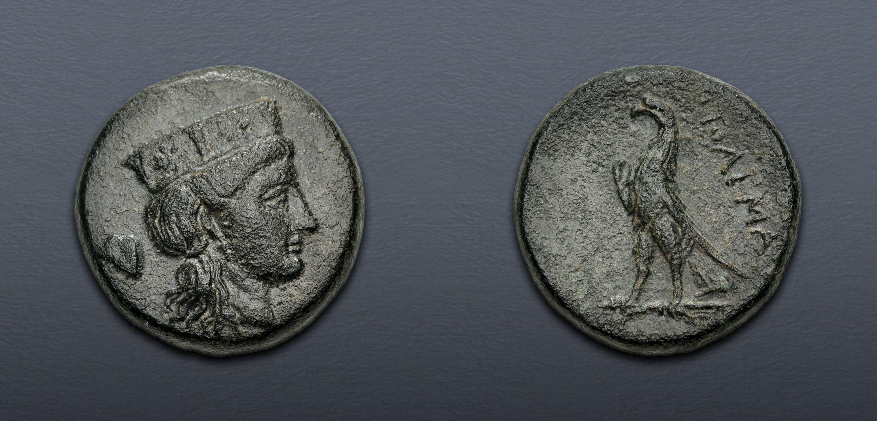 PTOLEMAIC KINGS of EGYPT. Ptolemy I Soter. 305/4-282 BC. Æ Obol (20mm, 8.70 g, 12h). Palai ...