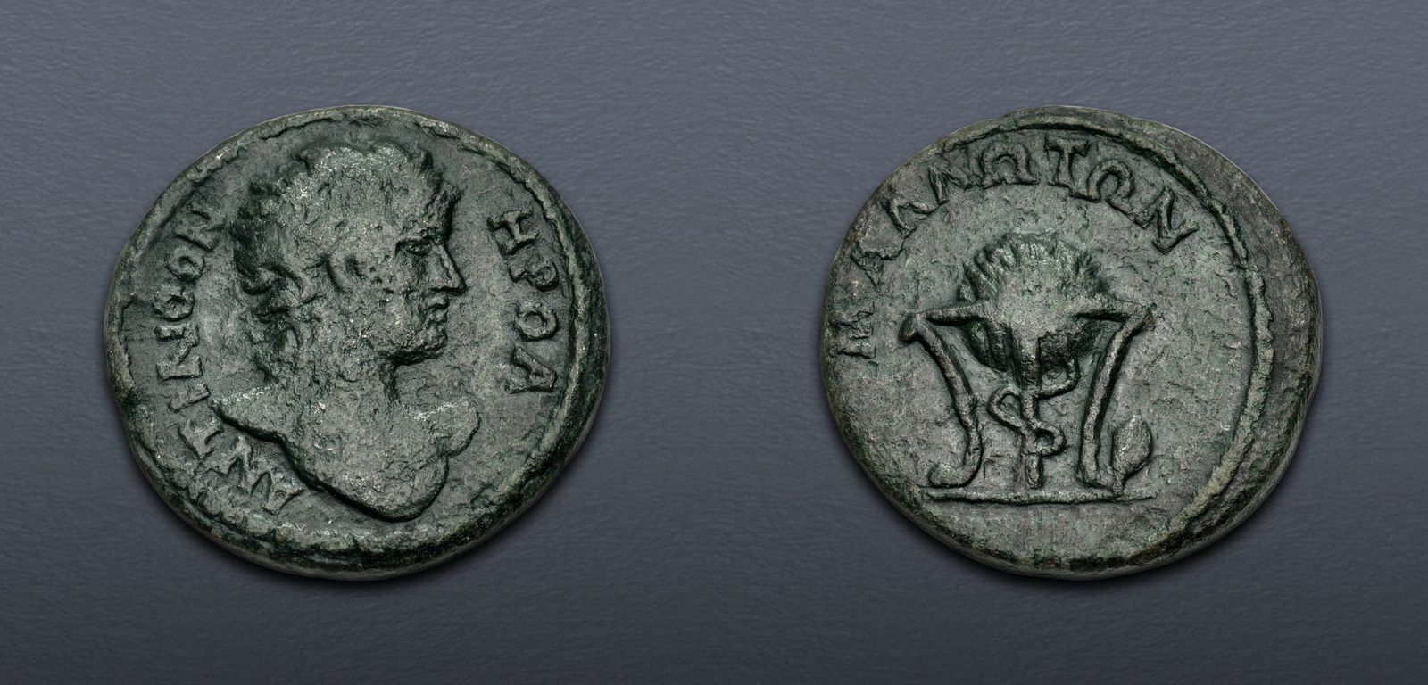 CILICIA, Mallus. Antinoüs. Died AD 130. Æ (25mm, 9.90 g, 12h). VF ...