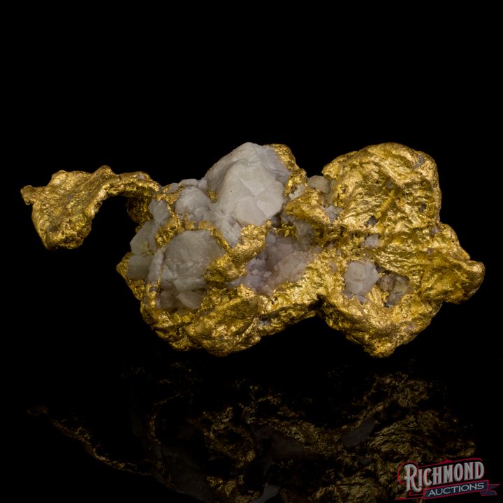 Gold Nugget & Numismatic Coin Auction | Richmond Auctions