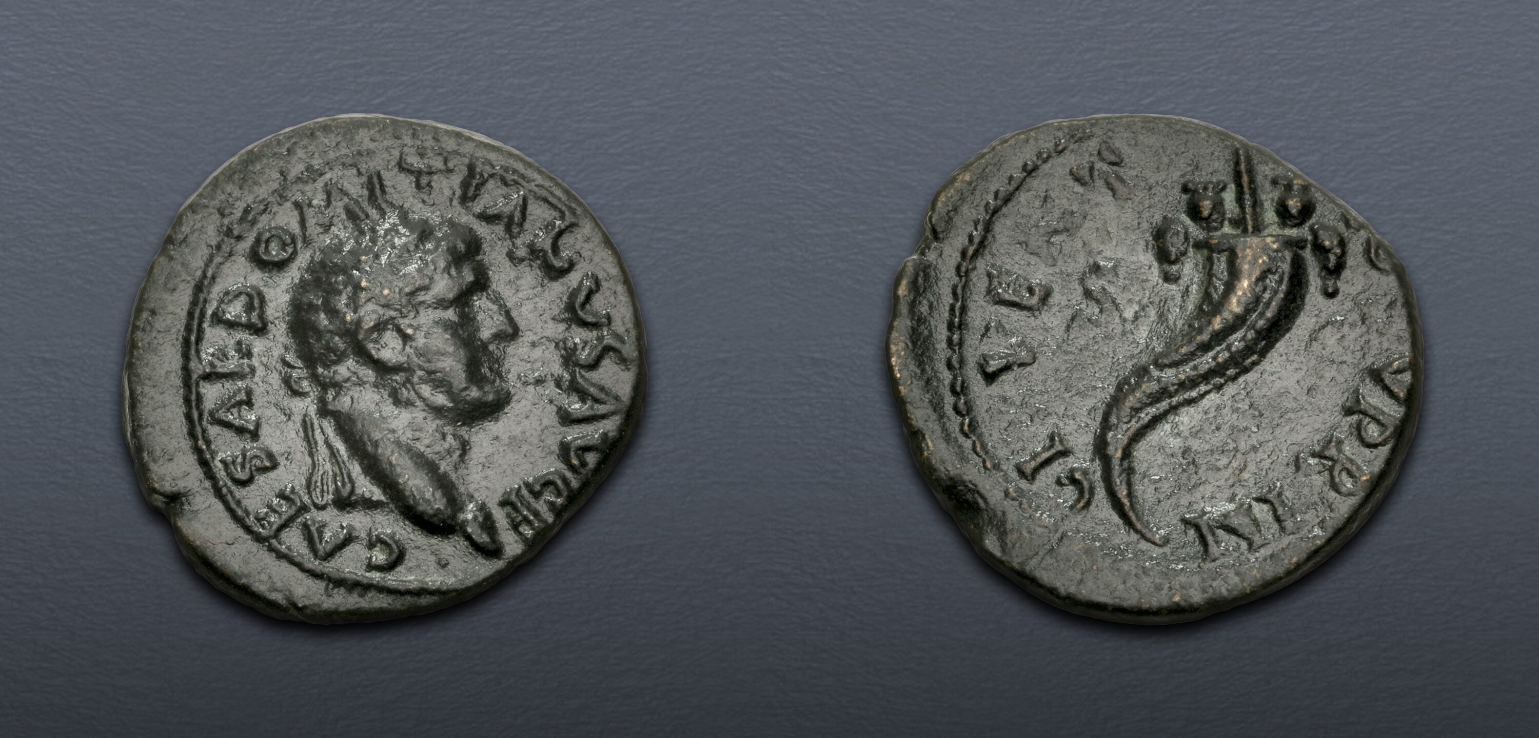 Domitian. As Caesar, AD 69-81. Æ Semis (17mm, 2.21 g, 6h). Ephesus ...