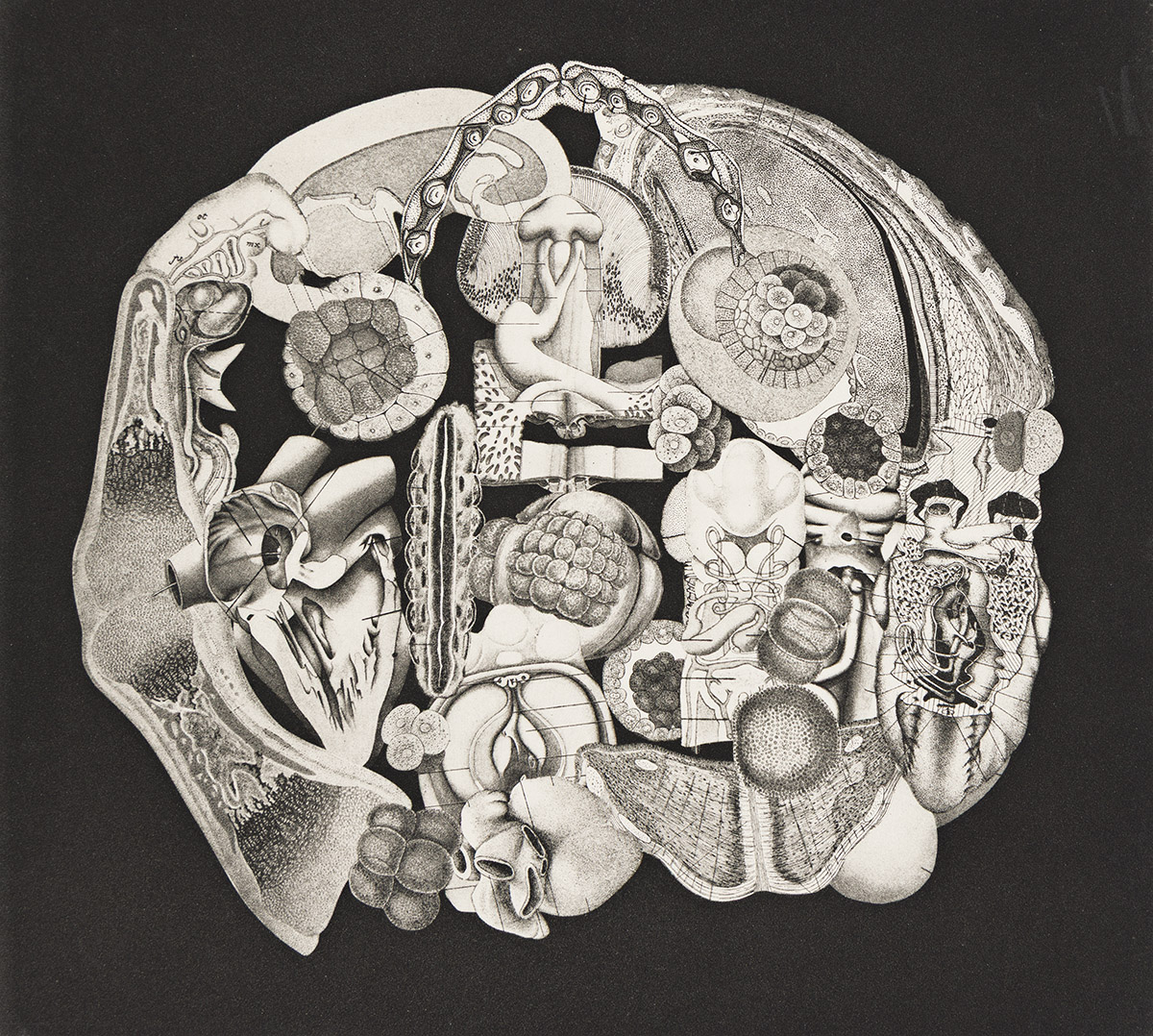 FREDERICK SOMMER (1905-1999) Portfolio entitled The Birth of Venus ...