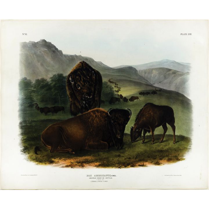 Arader Galleries June 14 2025 Auction | Arader Galleries